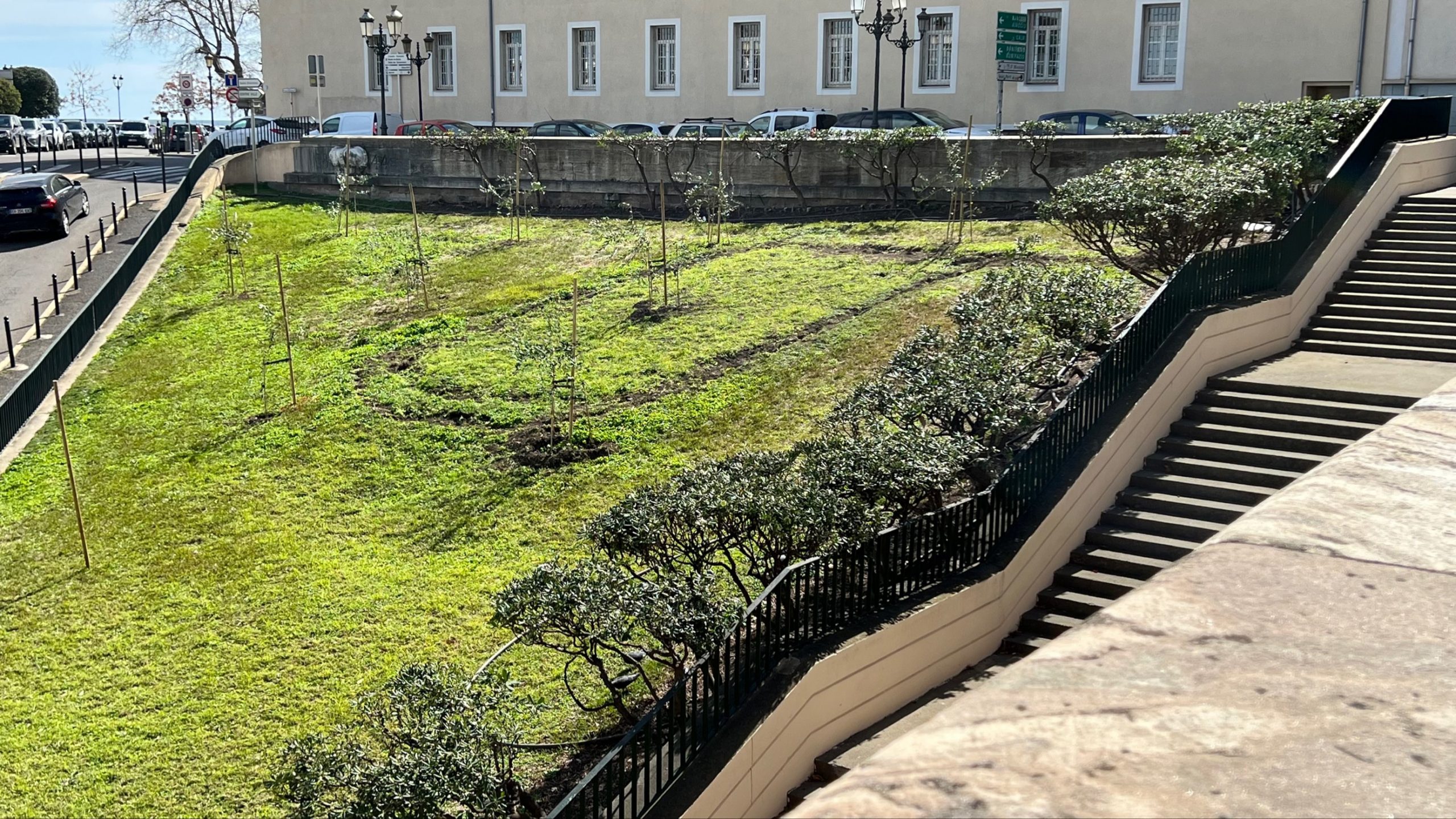 Requalification de l’espace vert de la Tour : création d’un verger d ...