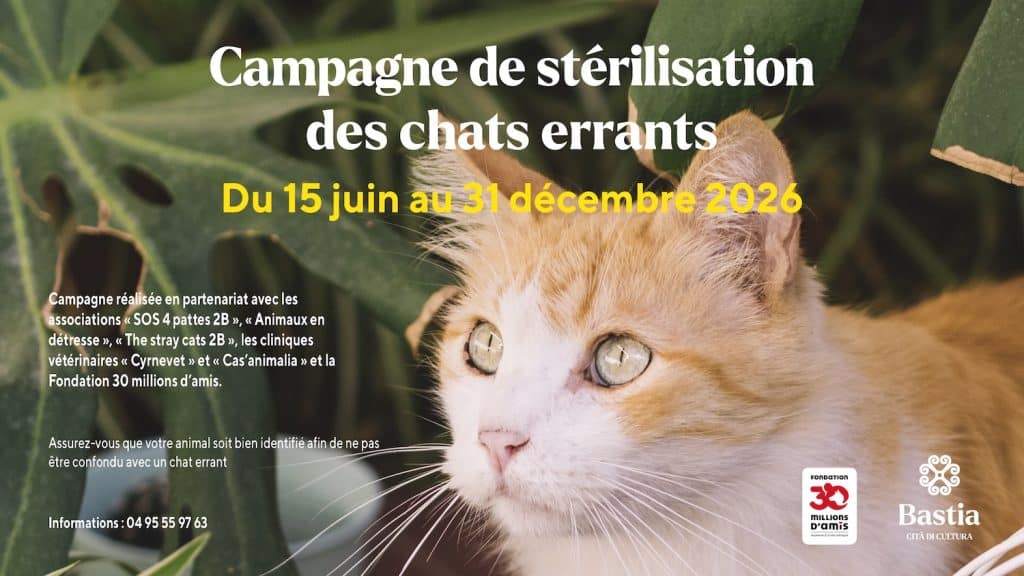 Campagne de Stérilisation des Chats Errants 2026 à Bastia | Cità di Bastia